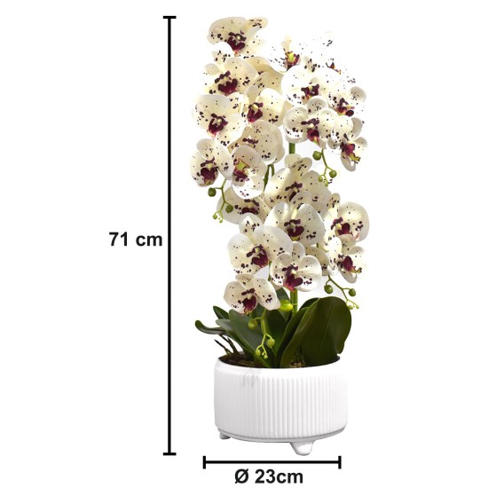 Orhidee cu aspect natural in ghiveci ceramic, 71 cm, Naimeed D4844, Alb ...